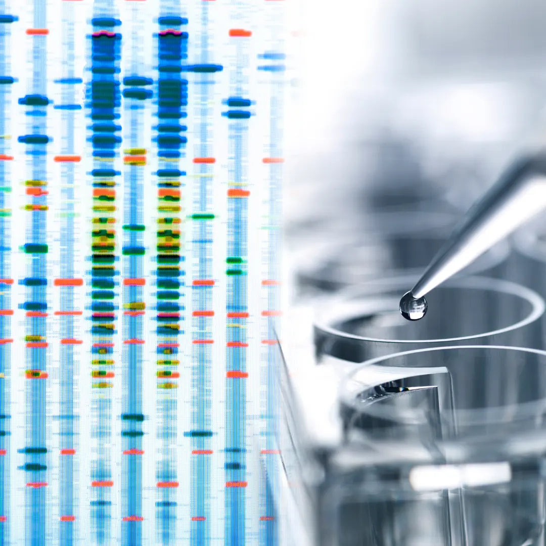 Genetic DNA Test Kits – Beyond Geno